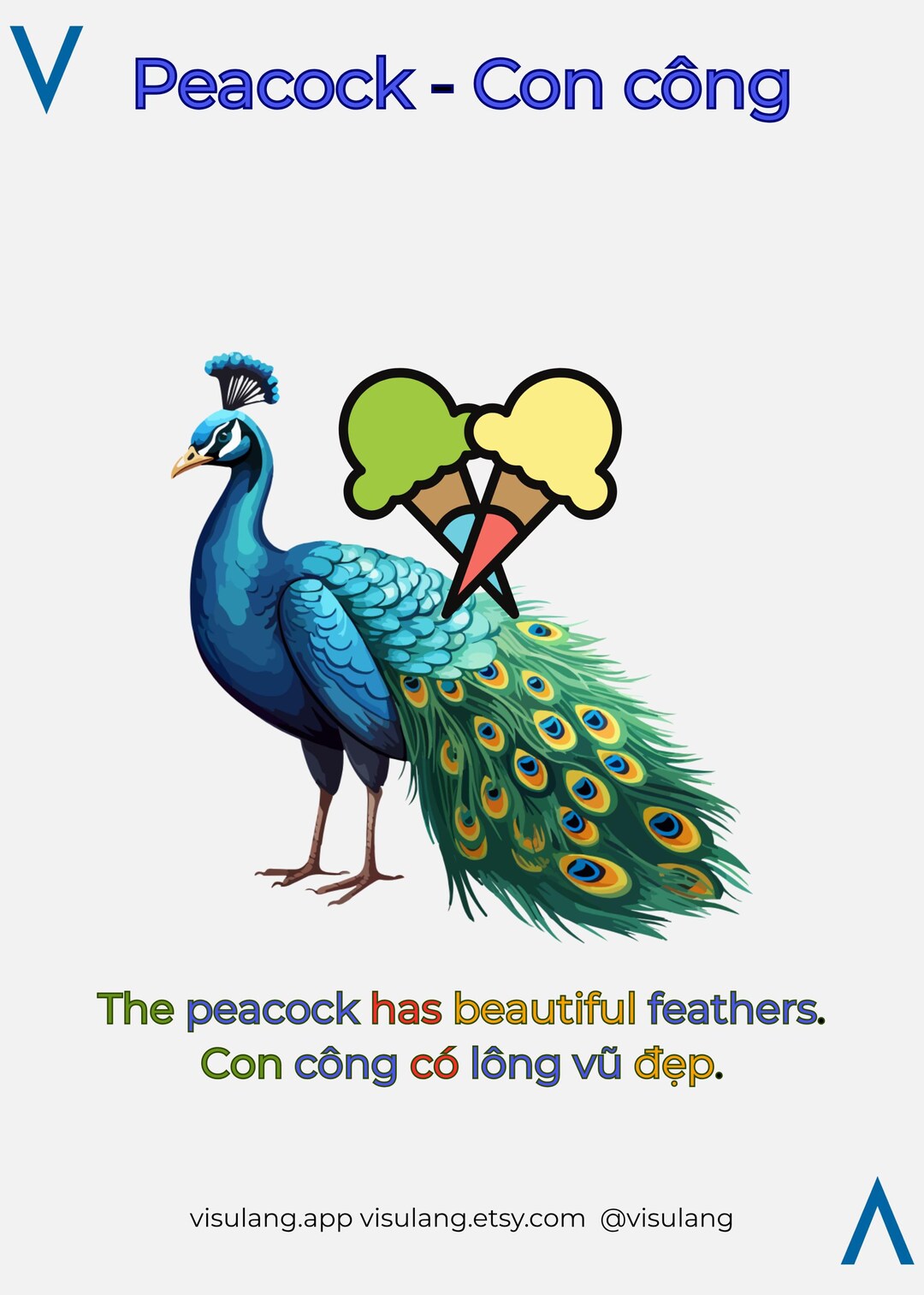 VI‑330: Vietnamese Visual Recall System — Part 3 of 4 - Etsy