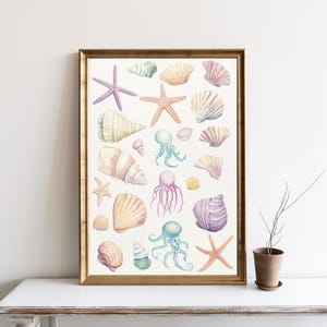 Beachy Wall Art, Preppy Seashell Wall Art, Coastal Cowgirl Dorm Decor ...