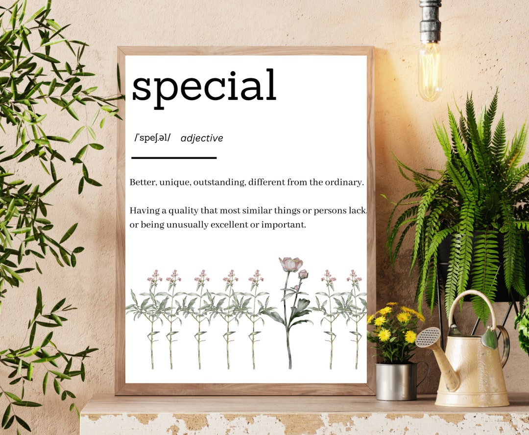 Special Education Teacher Decor, special Definition Print, Inclusive ...