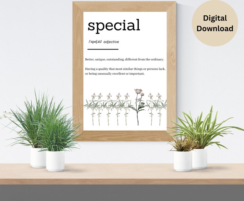 Special Education Teacher Decor, special Definition Print, Inclusive ...