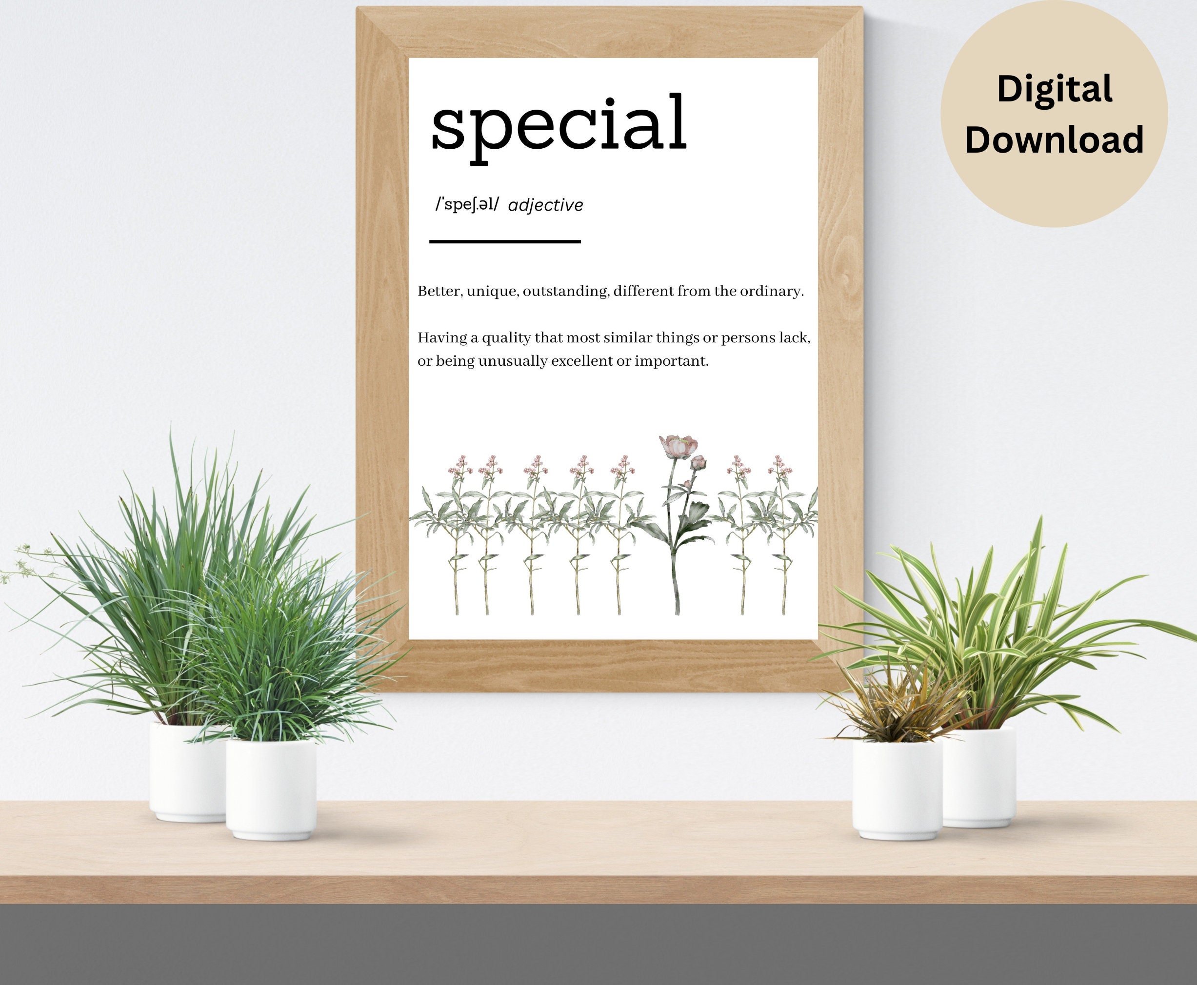 Special Education Teacher Decor, special Definition Print, Inclusive ...