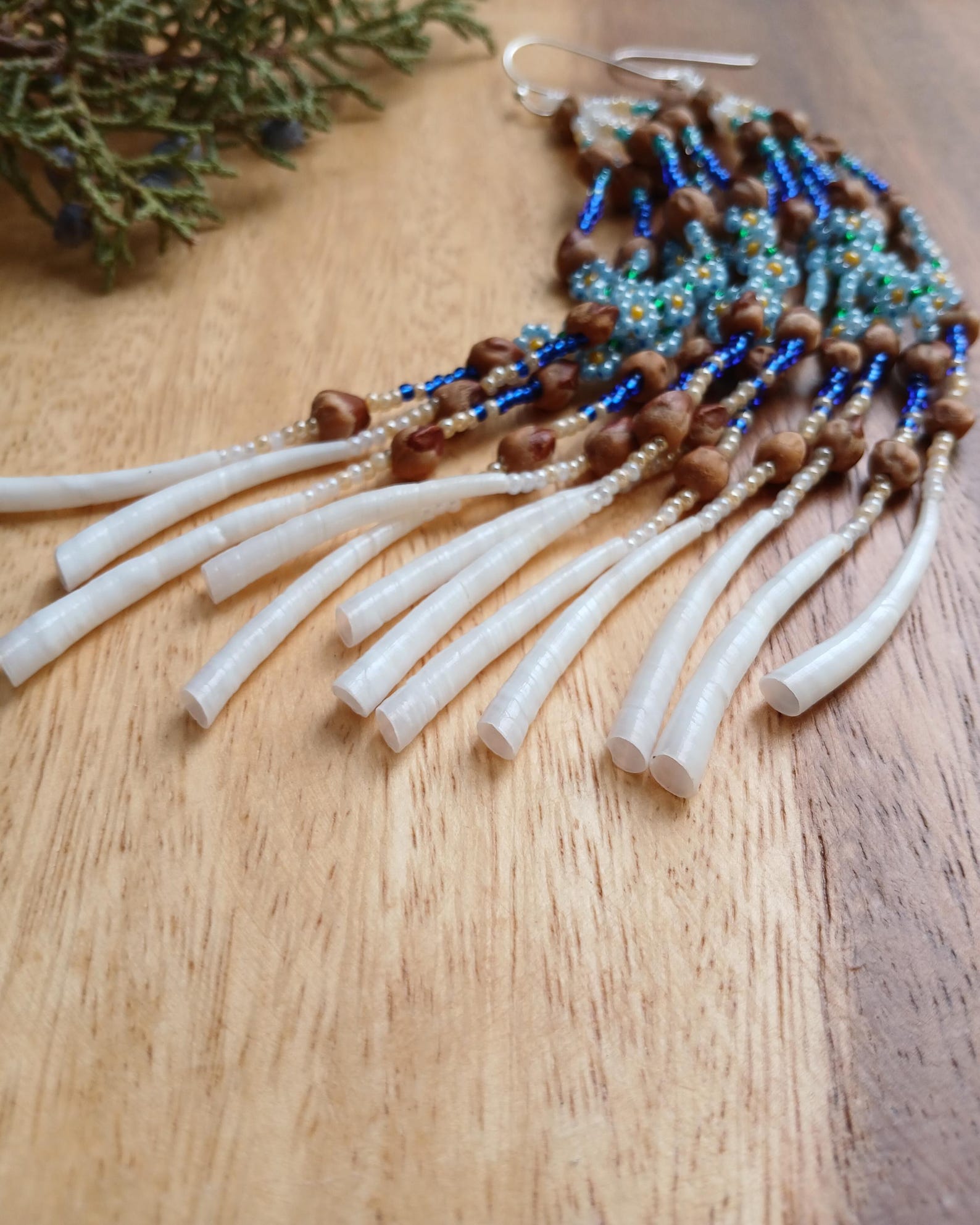 Juniper Berry Seed, Glass Bead Seeds, and Dentalium Smooth Shell ...