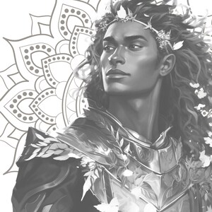 It's Giving High Fae -- Fan Made ACOTAR Inspired Coloring Book for ...