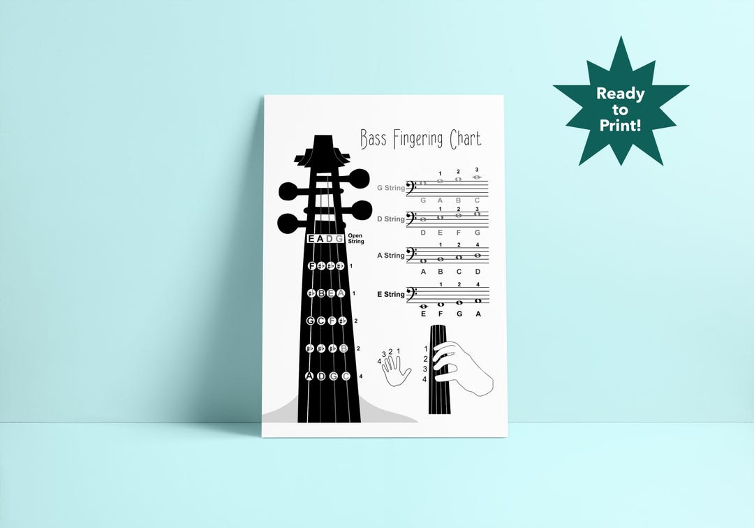 Upright Bass Fingering Chart, Bass Note Names, Music Theory Poster ...