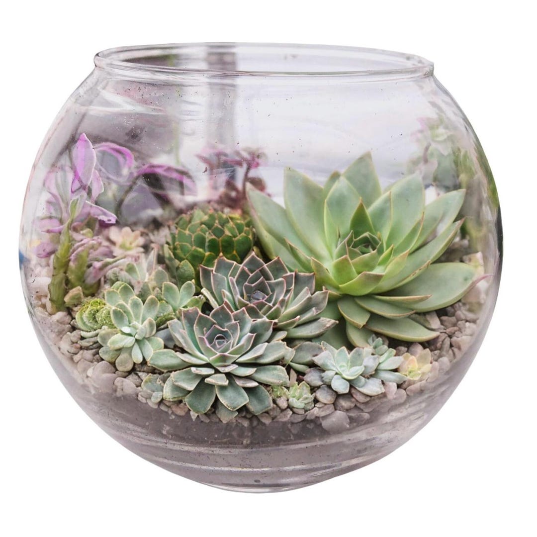 Terrarium Kit Personalized Garden Gift Custom Glass Terrarium Gift ...