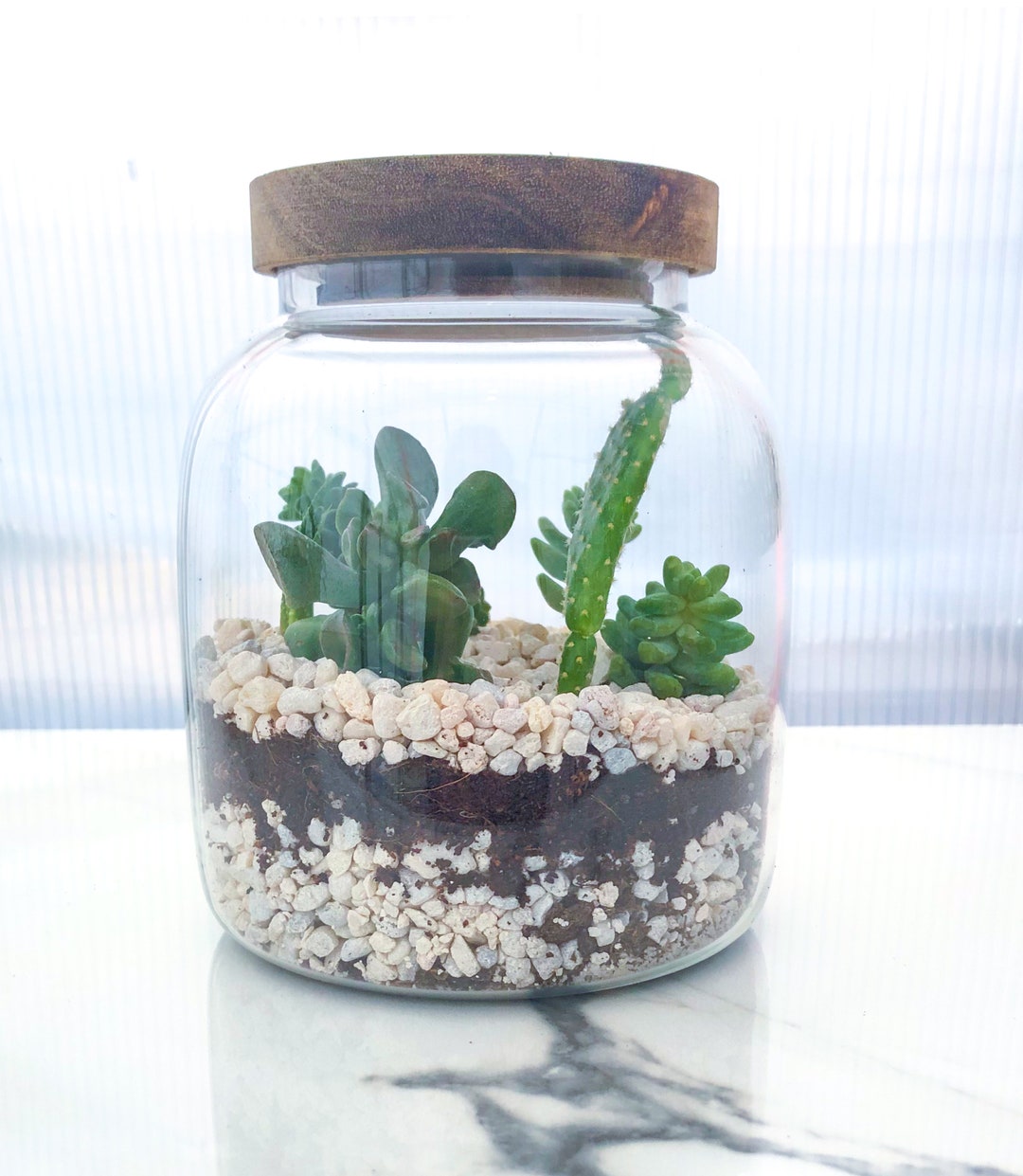 Unique Glass Living Terrarium Modern Botanical Home Decor - Etsy