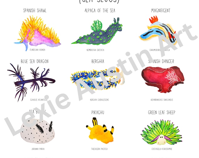 Little Sea Creature Plushie Keychains! Cute Beach Ocean Sea Slug Fish ...