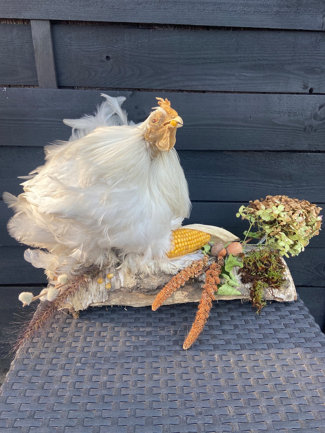 Quality Taxidermy Pair of Chickens Home Decor Birds - Etsy