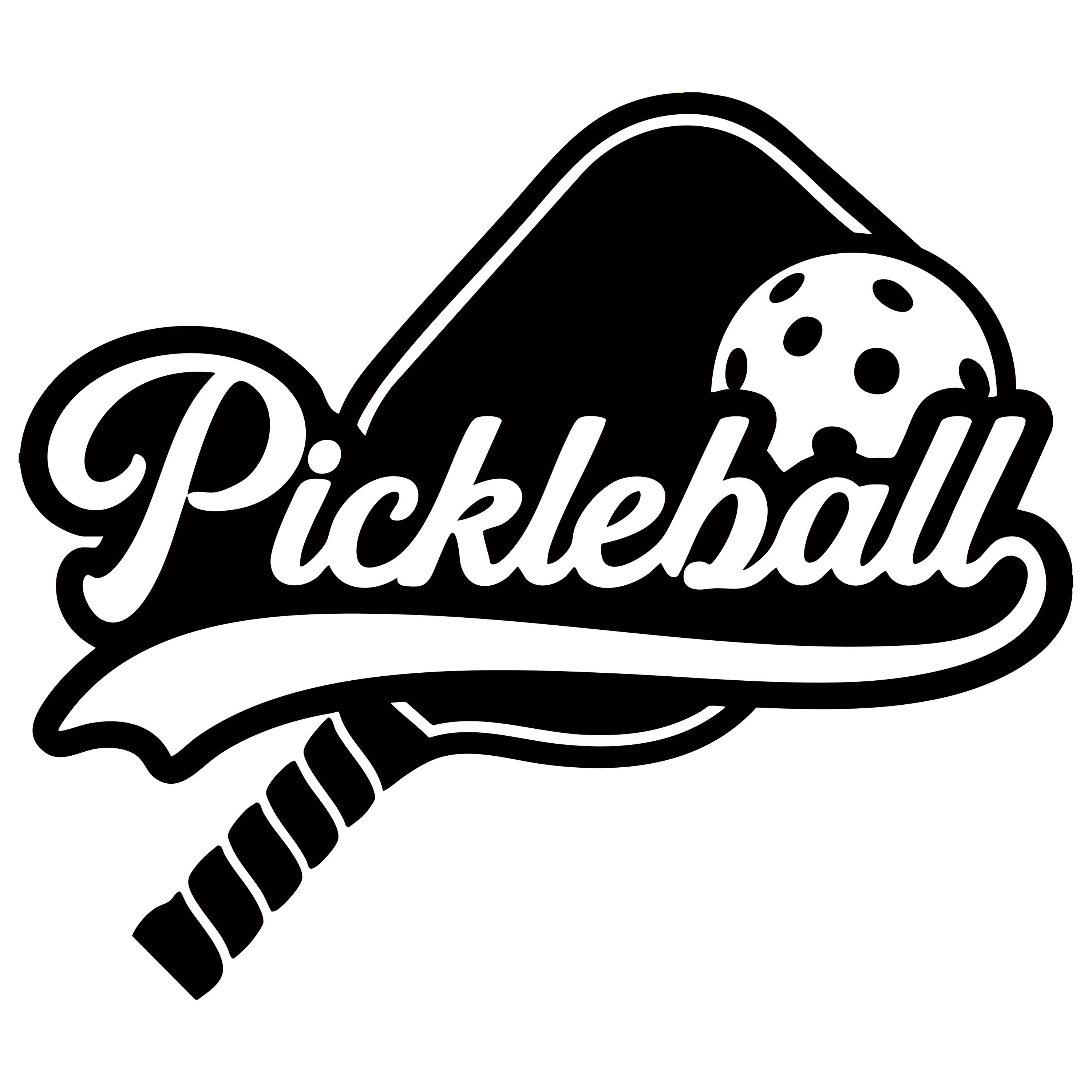 Pickleball Graphic - 4 Files - .SVG (vector) .PNG (transparent ...
