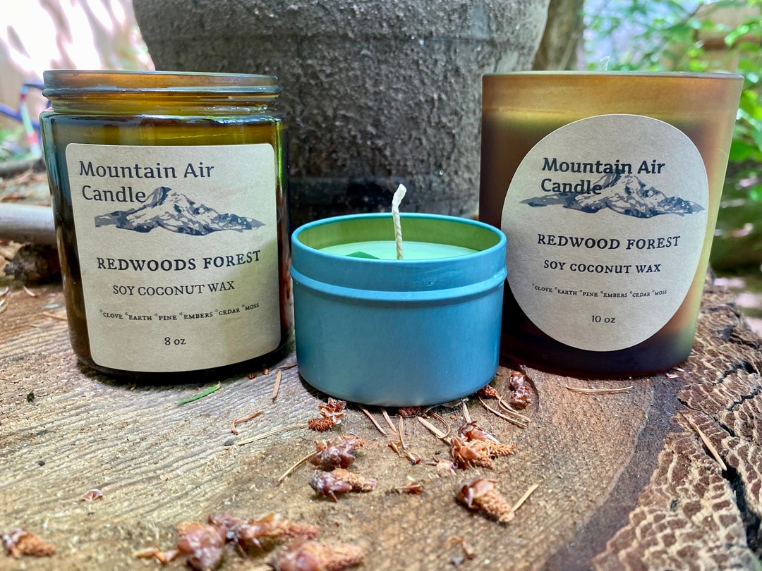 Redwood Forest Candles - Etsy