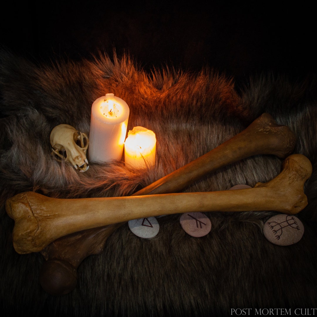 Ultra Realistic Femur Replica, Anatomical Bone Reproduction, Human Bone ...