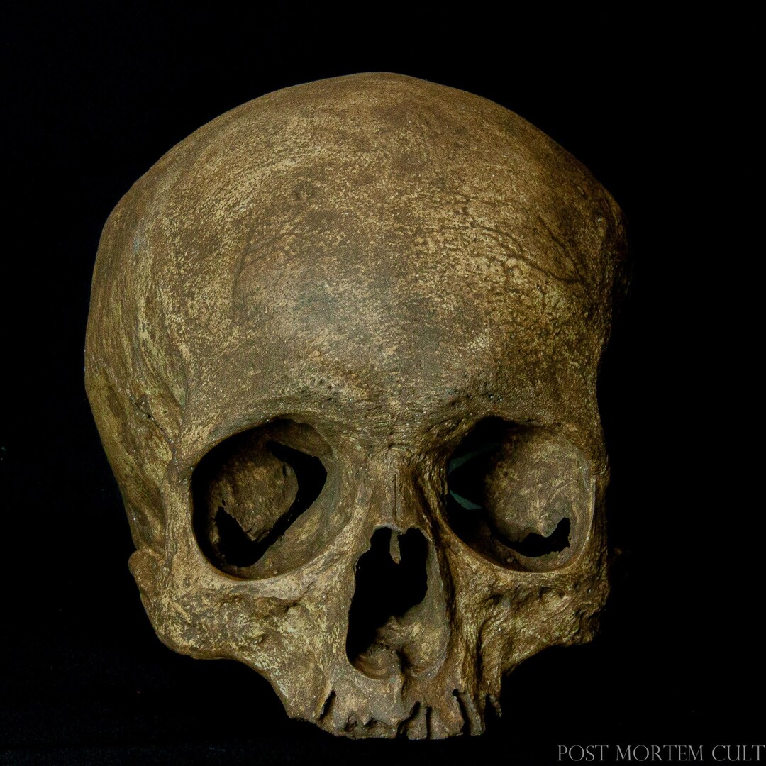 Dark Mouth - Realistic Human Skull Replica - Weathered Ossuary Style ...