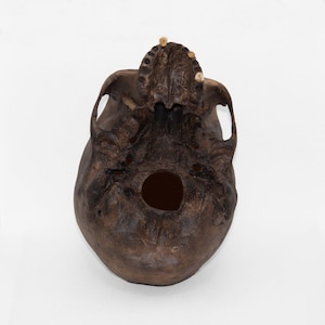 Shadow Skull – Human Skull Replica – Life Size Anatomical Skull ...