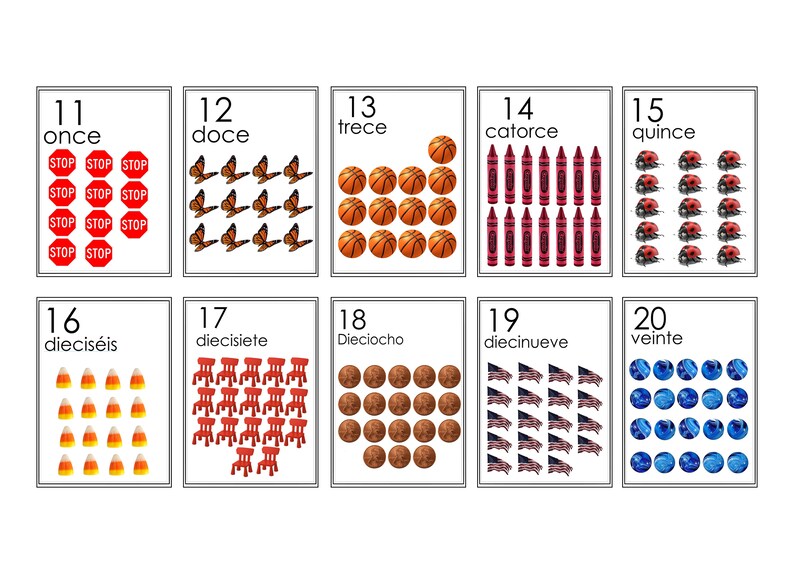 Numbers Flash Cards/1 Through 20/downloadable/teacher Resources - Etsy