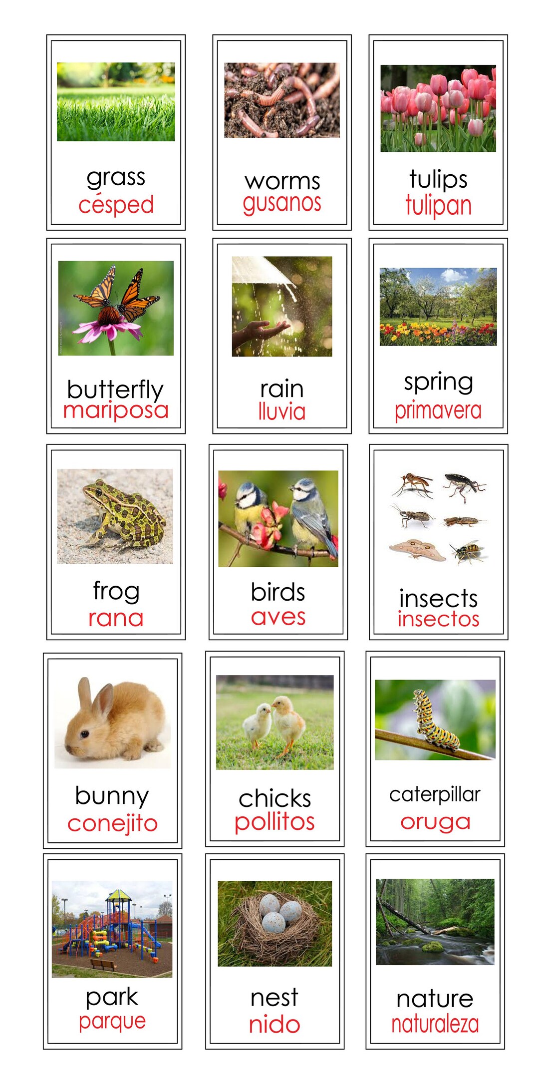 Spring Flash Cards/english and Spanish/downloadable/teacher Resources ...