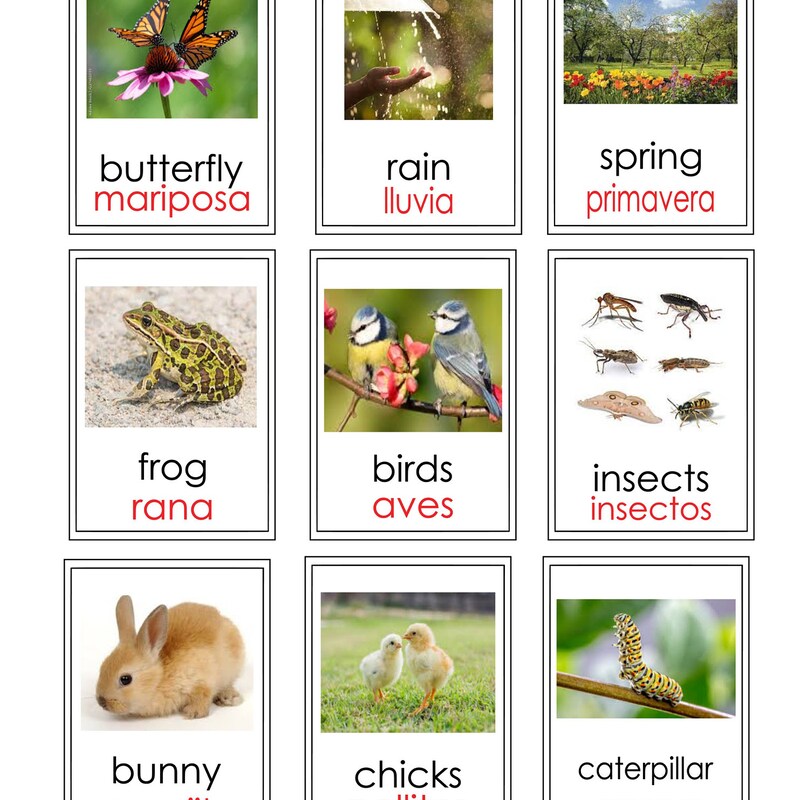 preschoolfiles - Etsy