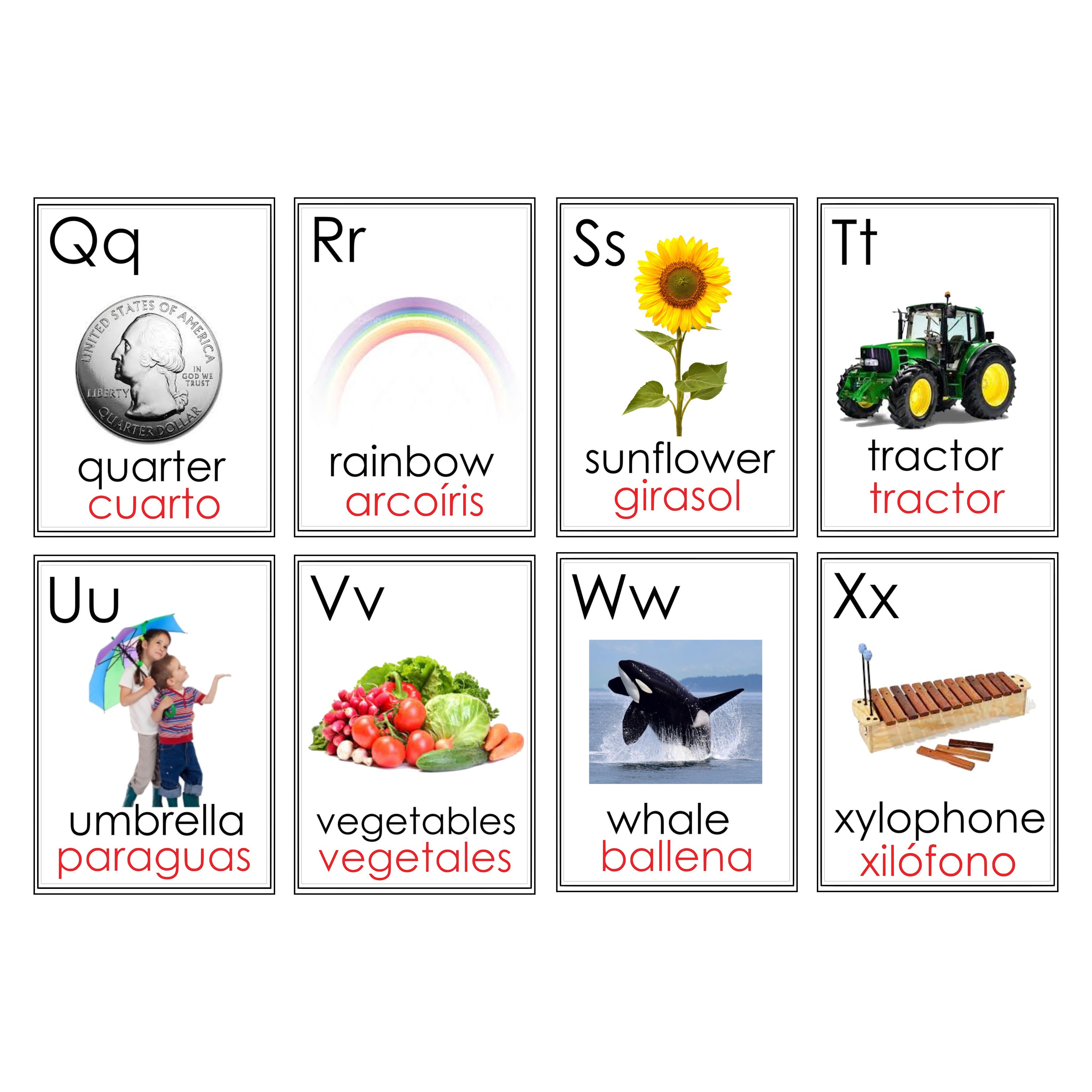 Alphabet Flash Cards/abc/downloadable/real Life Items/teacher Resources ...