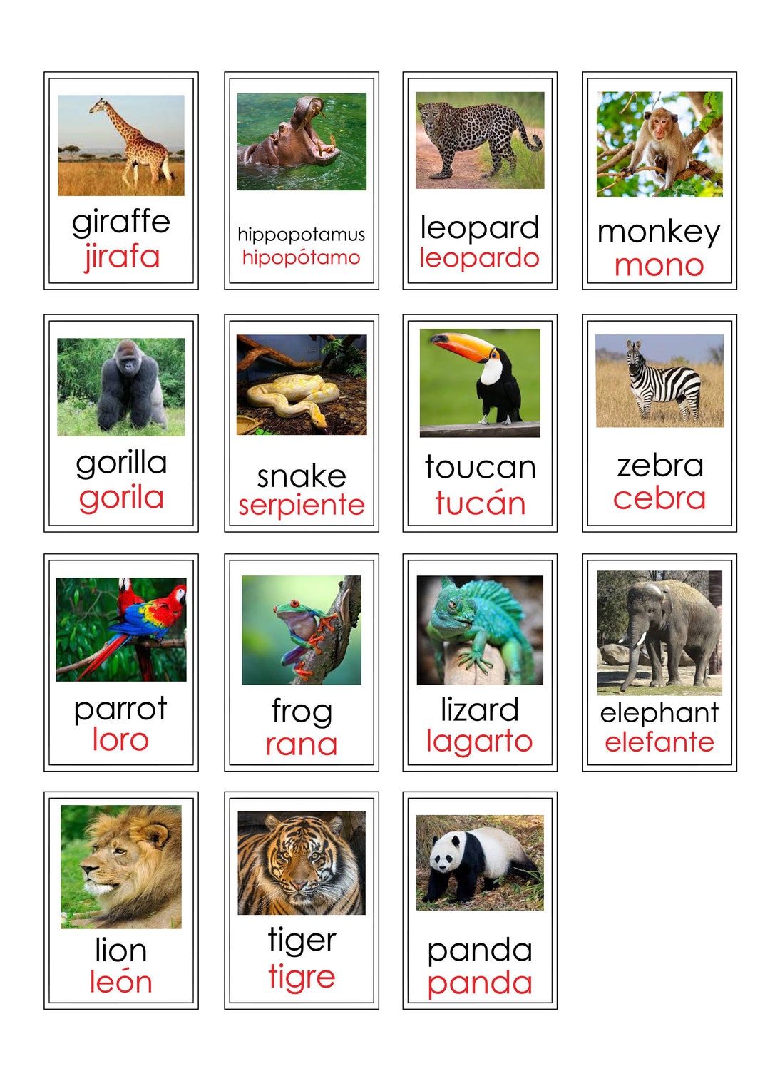 Zoo Animals Flash Cards/downloadable/teacher Resources - Etsy
