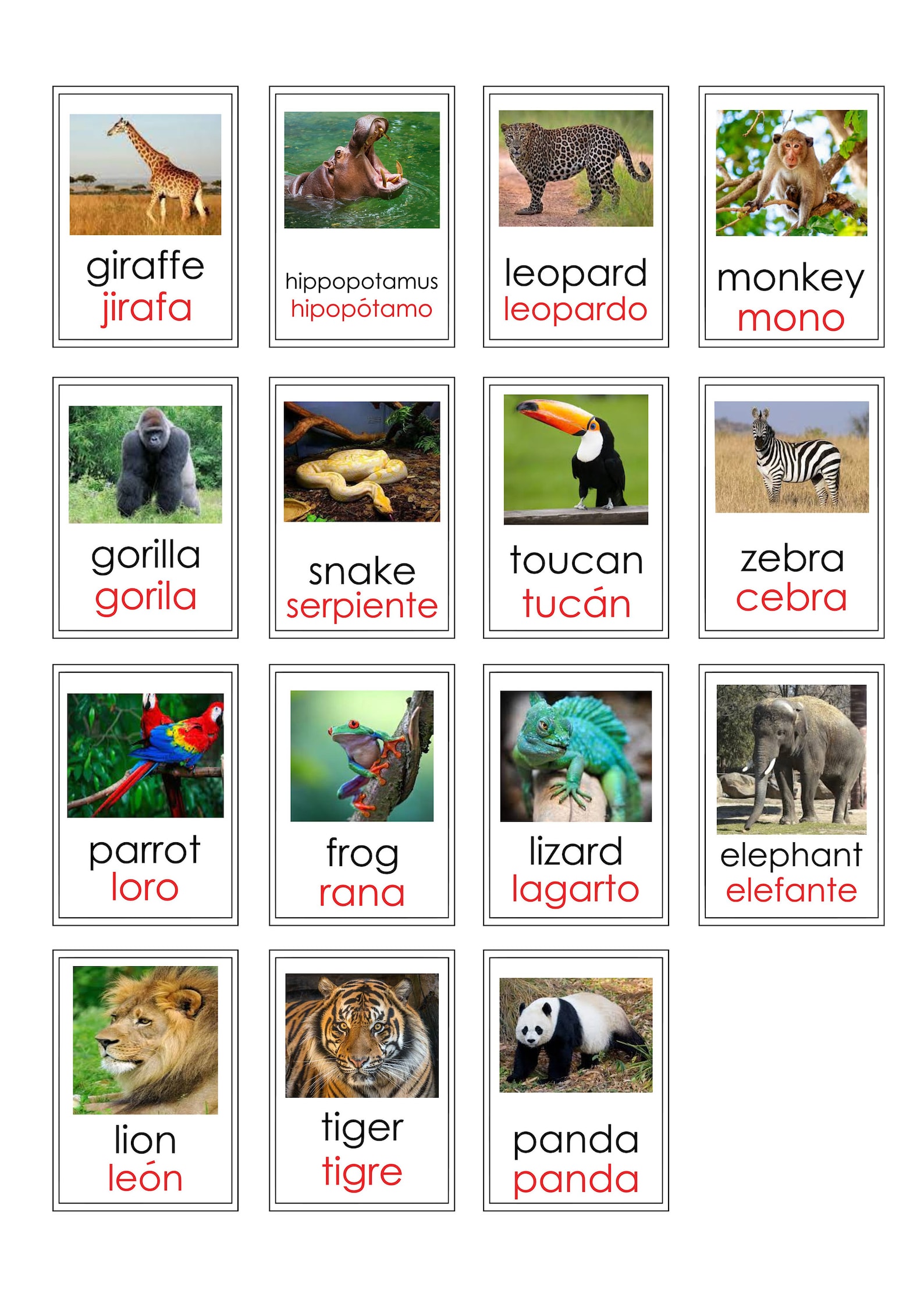 Zoo Animals Flash Cards/downloadable/teacher Resources - Etsy