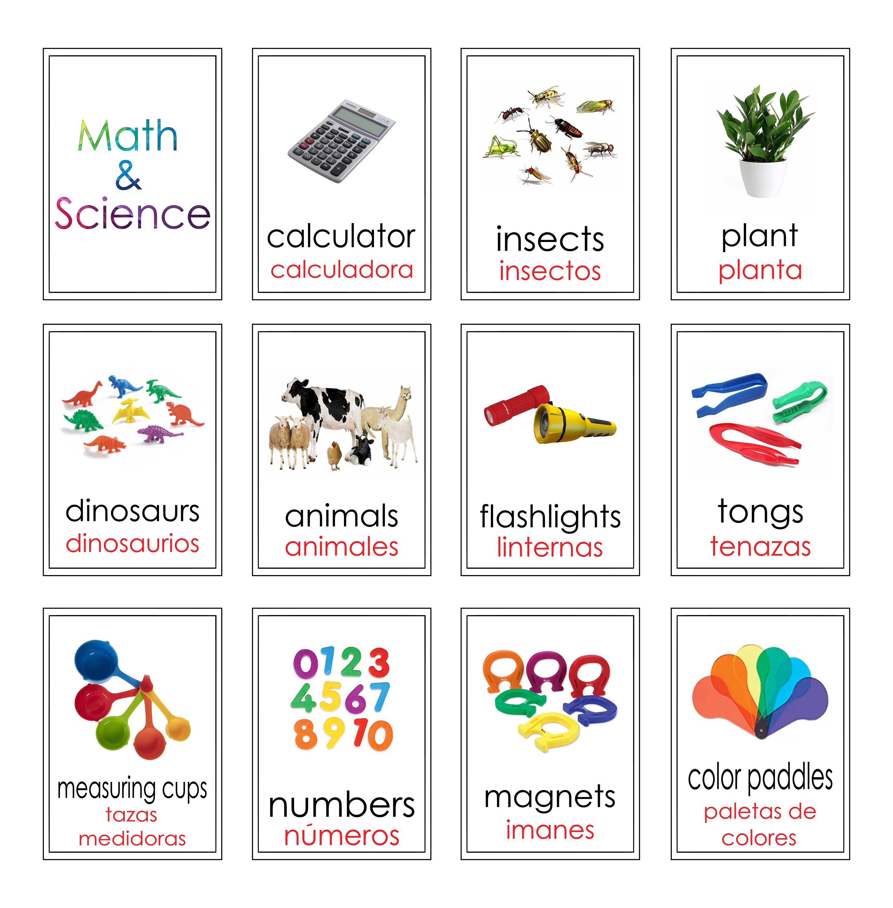 Math and Science Flash Cards/downable/teacher Resources - Etsy