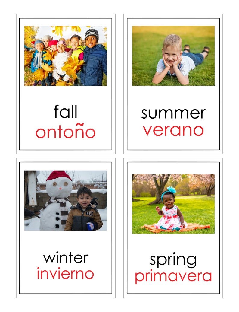 Seasons Flash Cards/downloadable/teacher Resources - Etsy