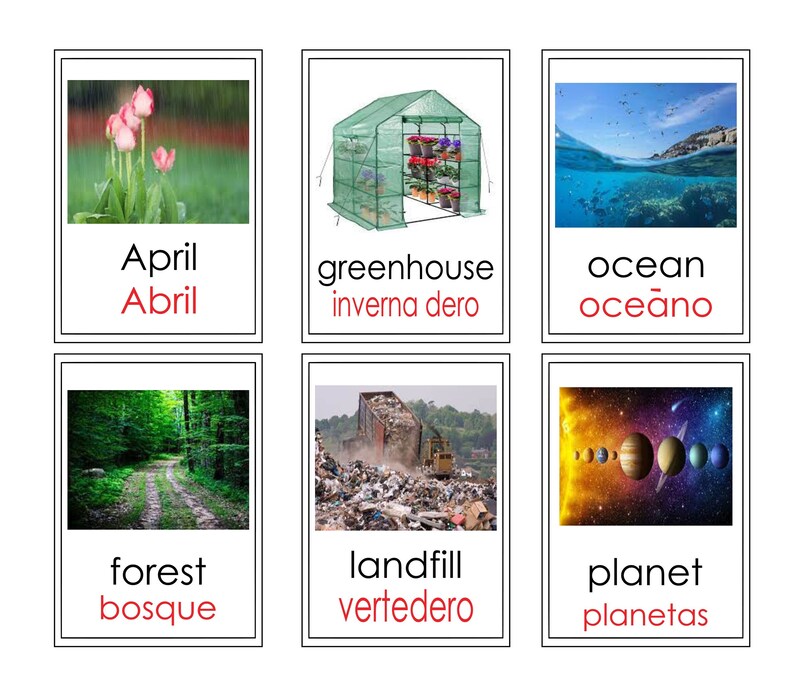 Earth Day Flash Cards/english and Spanish/teacher Resources - Etsy