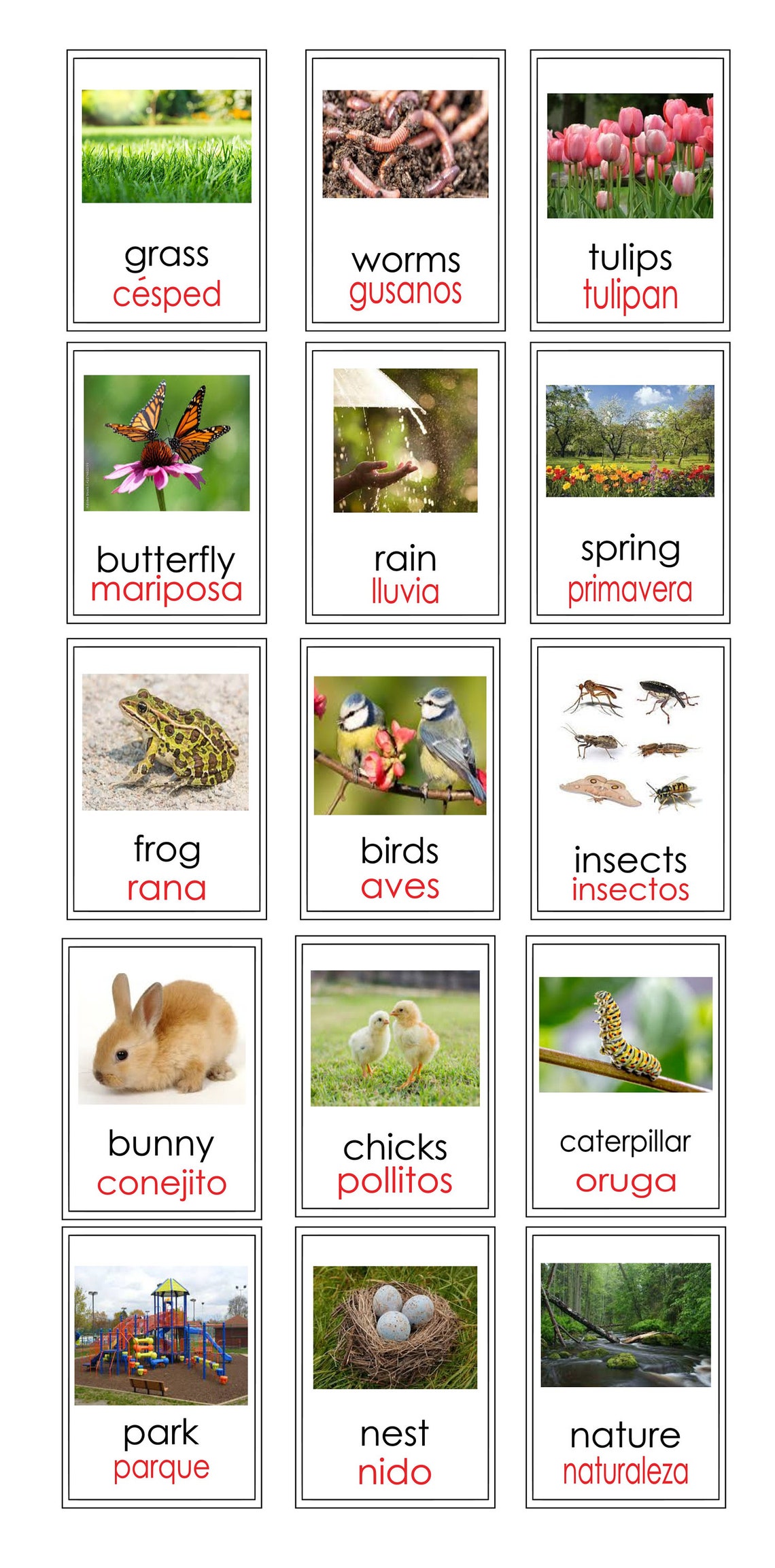 Spring Flash Cards/downloadable/teacher Resources - Etsy