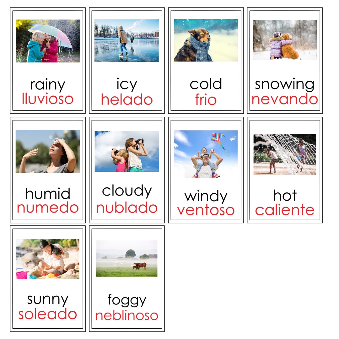 Weather Flash Cards/downloadable/teacher Resources - Etsy