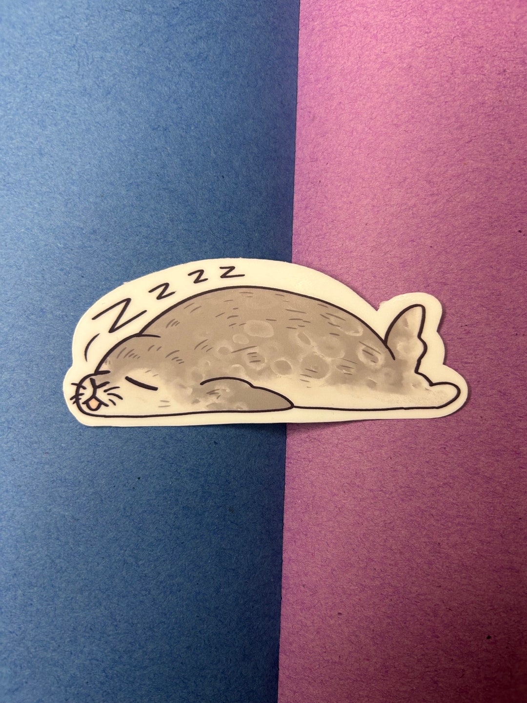 Sleepy Seal Vinyl Sticker Decal - Etsy