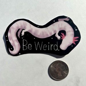 Be Weird Olm Axolotl, Fish, Biology, Deep Sea Creature, Goth, Emo, Dark ...