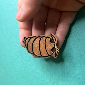Laser Cut Wooden Critter Pin Weevil, Spider, Isopod, Gecko, Snake, and ...