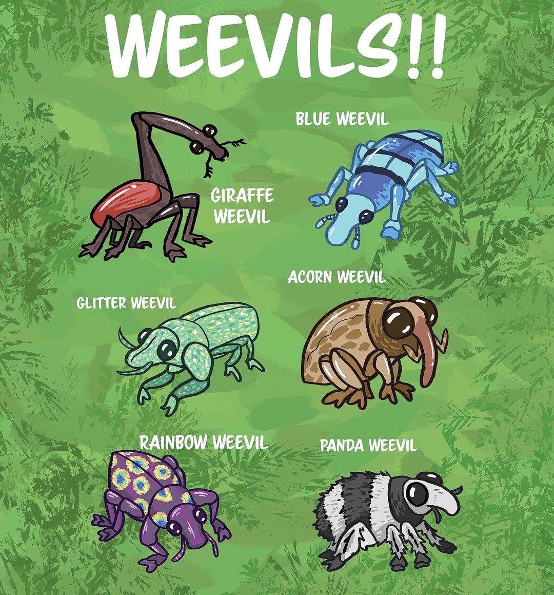 Weevil Insect Entomology Acorn Weevil Wooden Printed Pins - Etsy