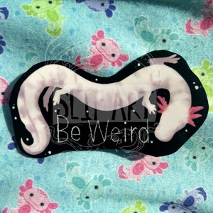 Be Weird Olm Axolotl, Fish, Biology, Deep Sea Creature, Goth, Emo, Dark ...