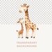 Cute Giraffe Baby Jungle Animal Clipart, Safari Baby Animal PNG ...