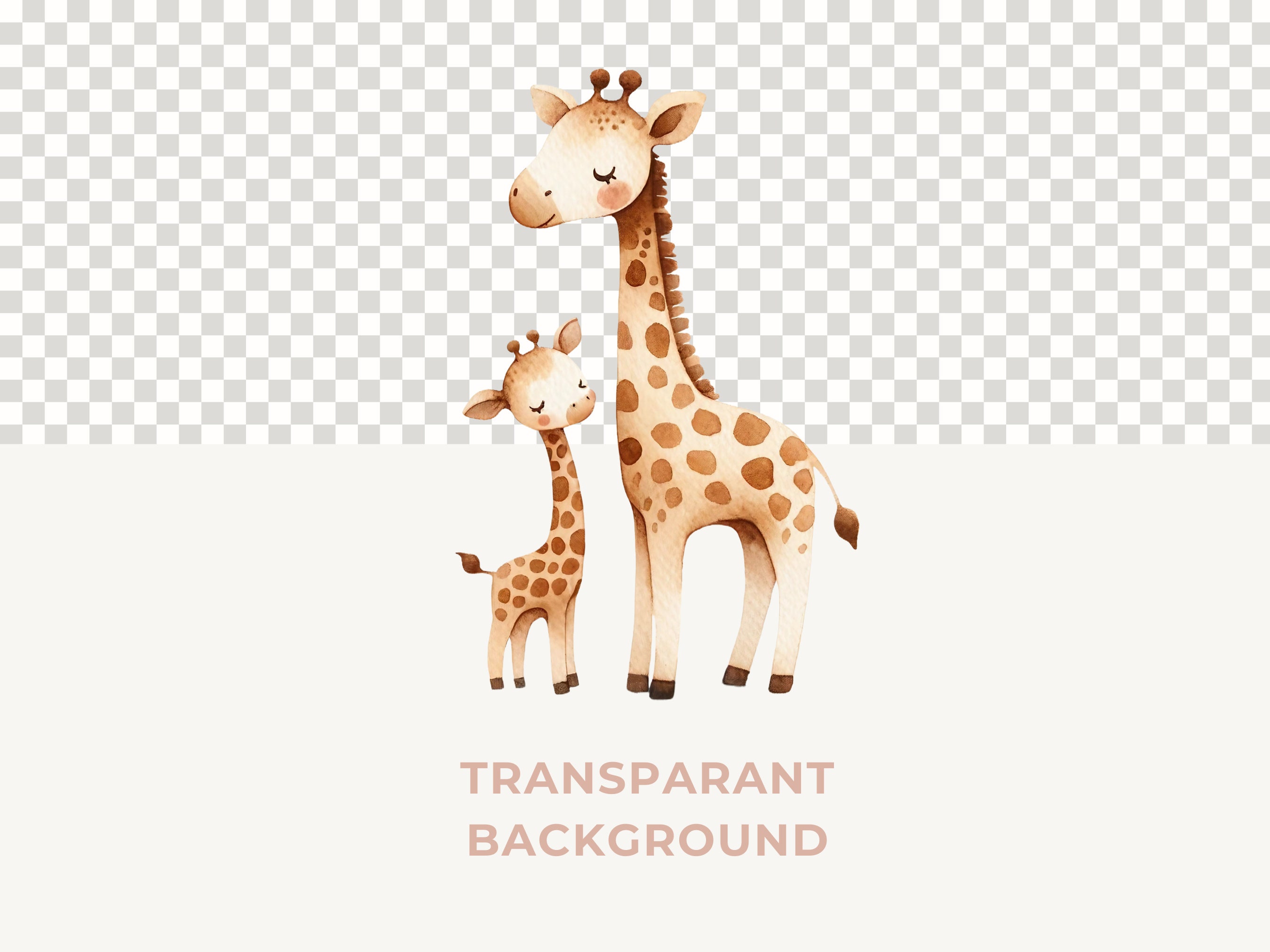 Cute Giraffe Baby Jungle Animal Clipart Safari Baby Animal PNG ...