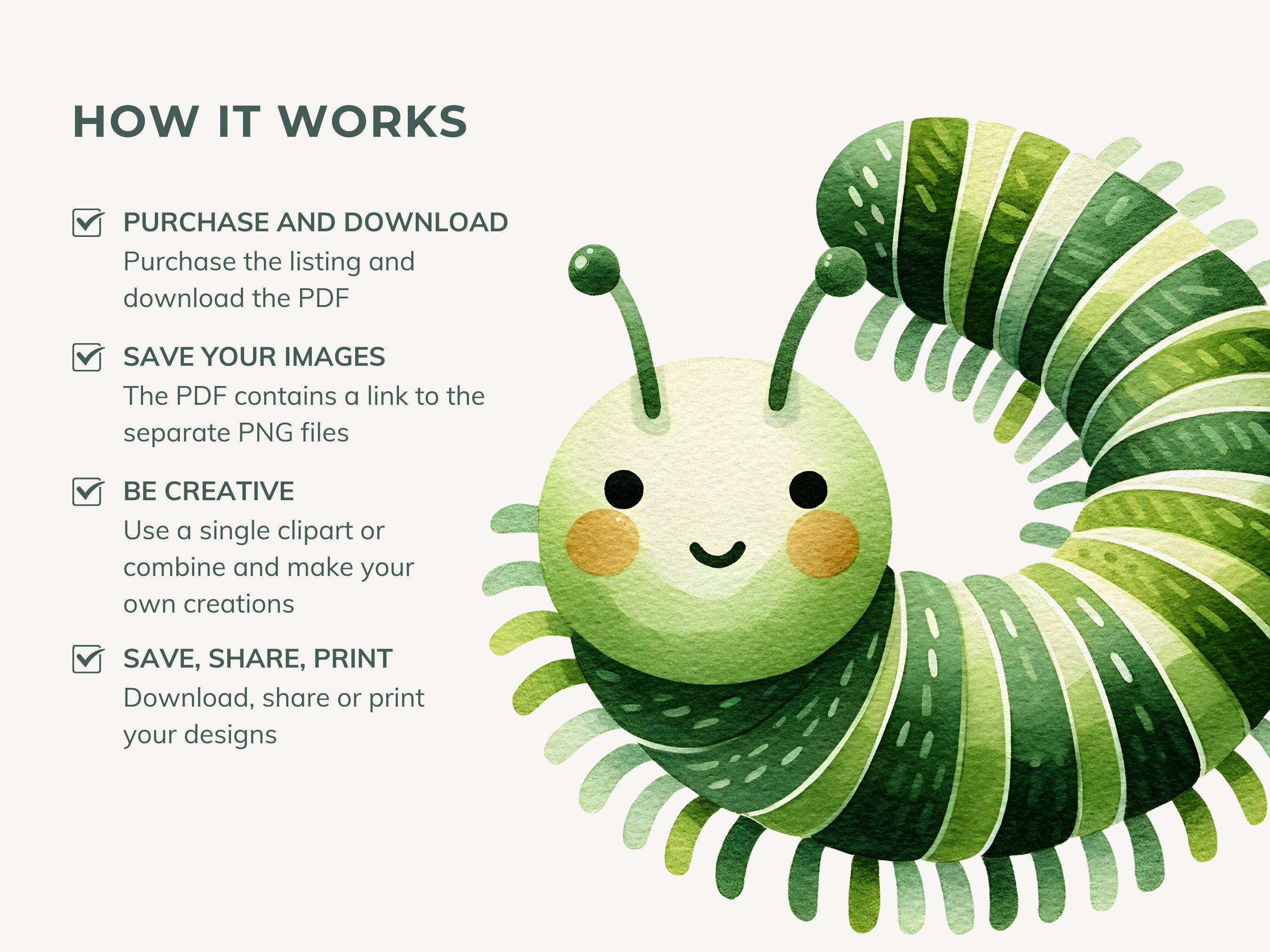 Spring Insects Bugs Watercolor Clipart Bundle Spider Butterfly ...