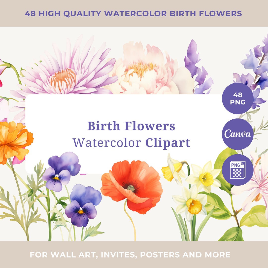 48 Birth Month Flower Watercolor Clipart Set Floral Set & Birthflower ...