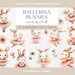 Cute Easter Bunny Carrot Clipart Bundle Easter Rabbit PNG Spring ...