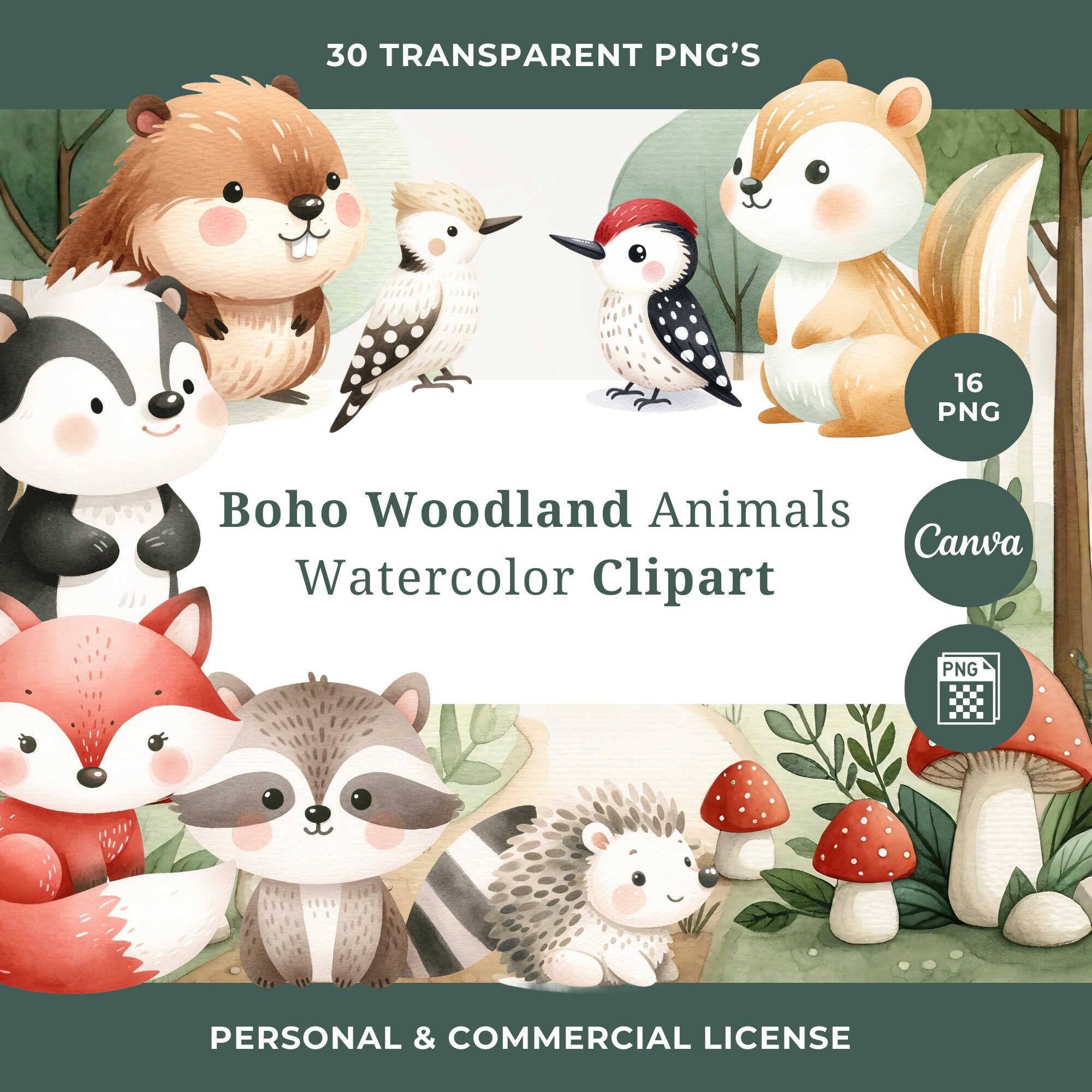 Woodland Animals Watercolor Clipart Forest Animals Watercolor Woodland ...