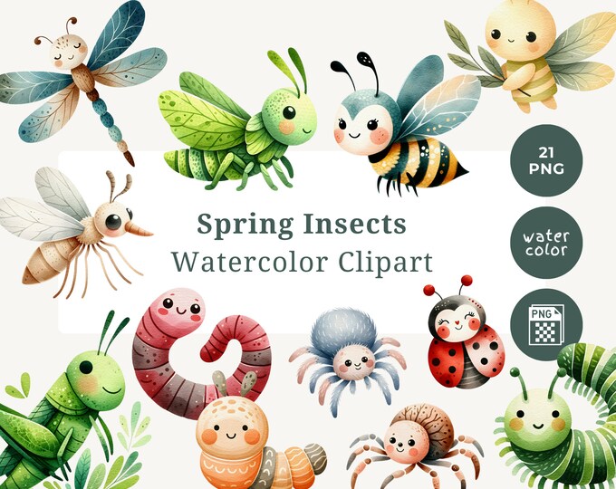 Bugs and Insects Clipart Set / Ant PNG / Cute Butterfly / Bee ...