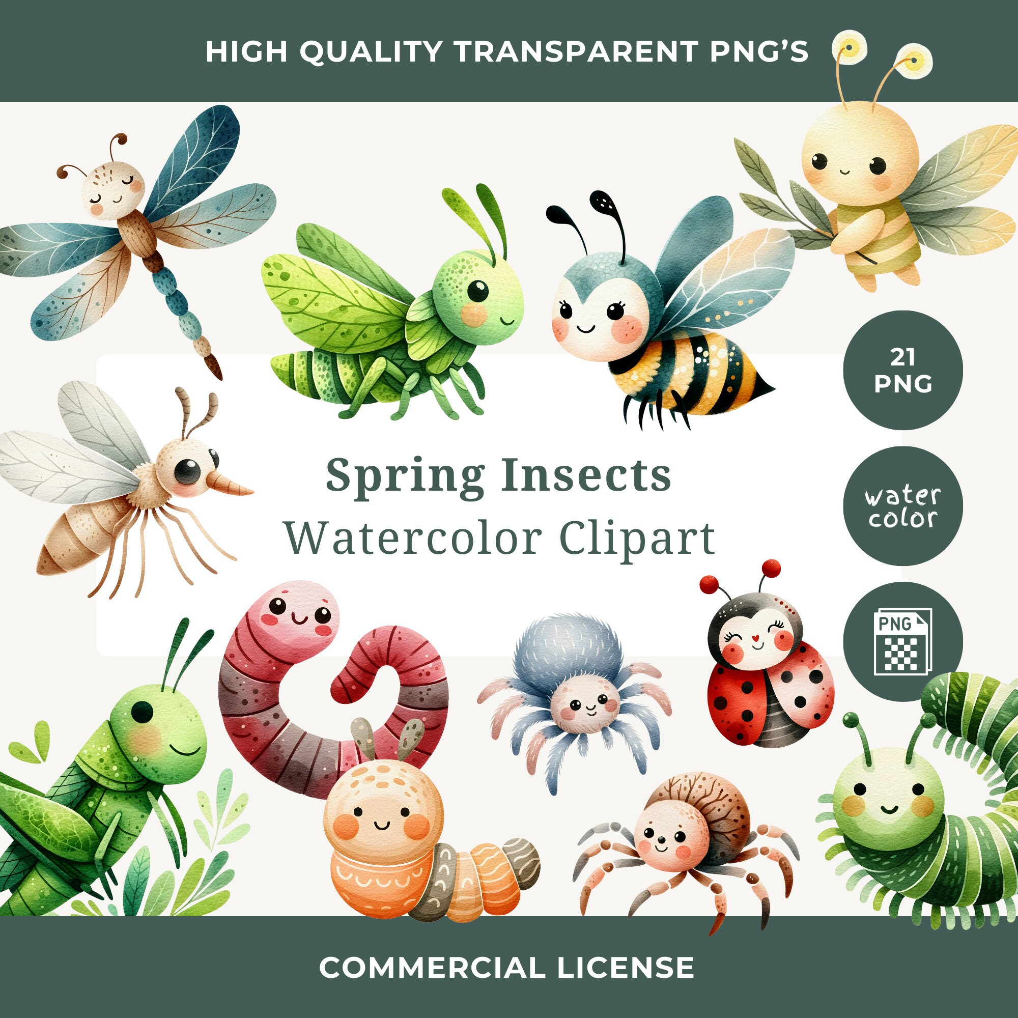 Spring Insects Bugs Watercolor Clipart Bundle Spider Butterfly ...