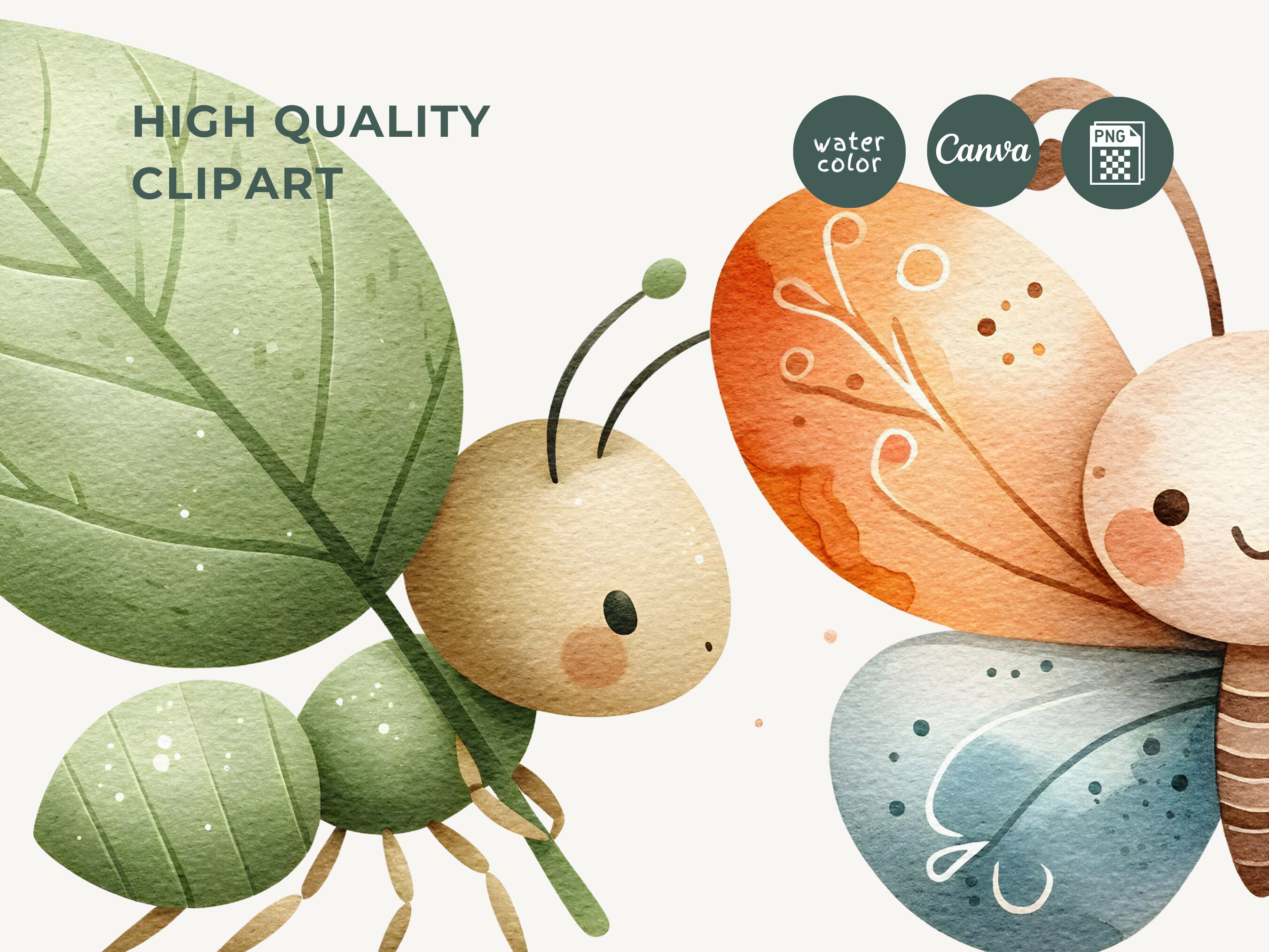 Spring Insects Bugs Watercolor Clipart Bundle Spider Butterfly ...