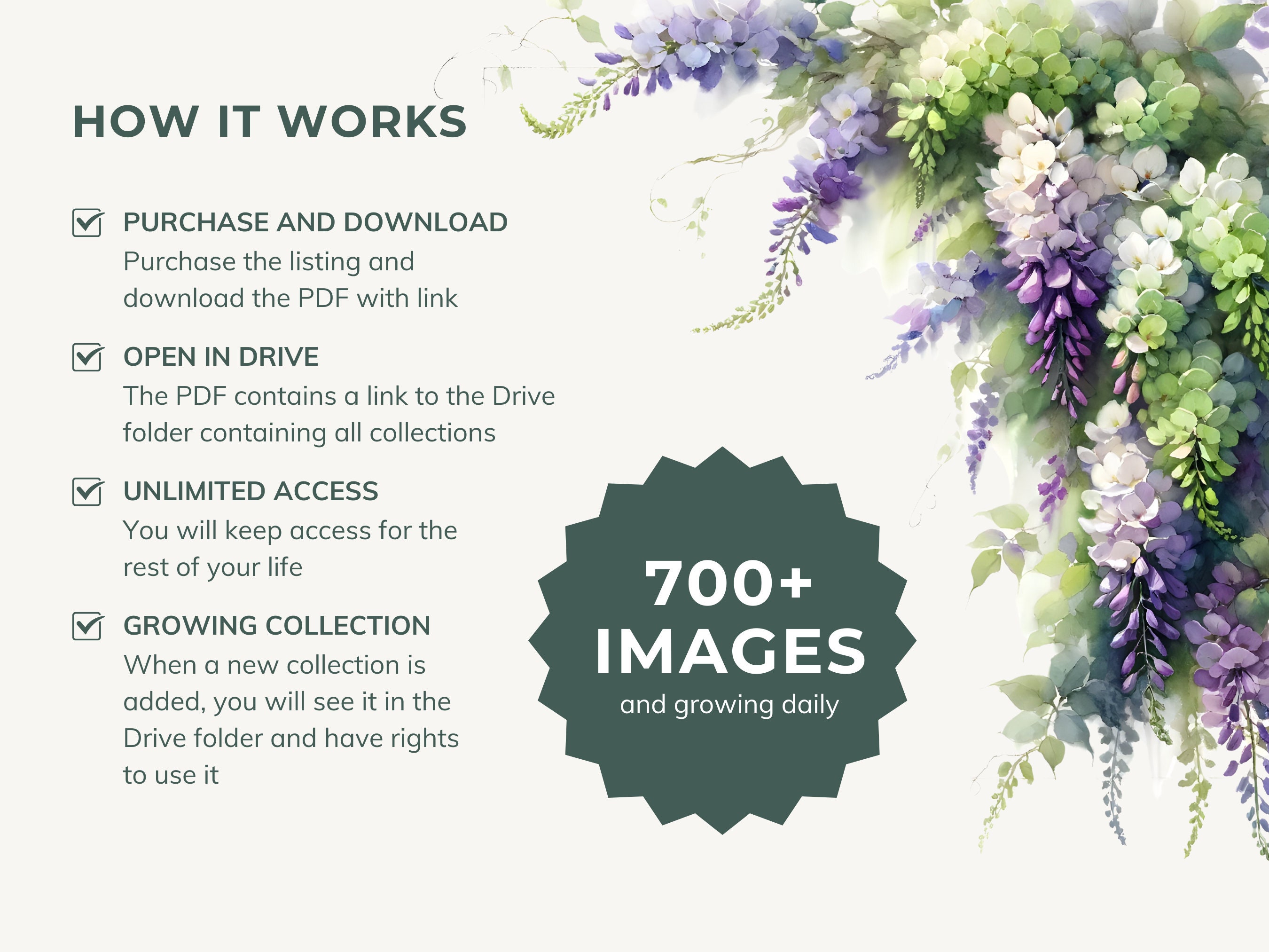 Entire Store Whole Shop Clipart Bundle Unlimited Lifetime Access ...