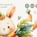 Cute Easter Bunny Carrot Clipart Bundle, Easter Rabbit PNG, Spring ...