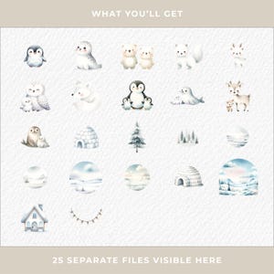 Watercolor Arctic Clipart Winter Wonderland Artic Animals Clipart ...