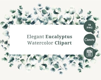 Watercolor Eucalyptus Leaves Clipart, Eucalyptus Shower Greenery ...