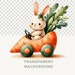 Cute Easter Bunny Carrot Clipart Bundle, Easter Rabbit PNG, Spring ...