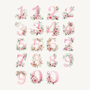 Watercolor Floral Numbers Collection Clipart Pink Flowers Planner ...