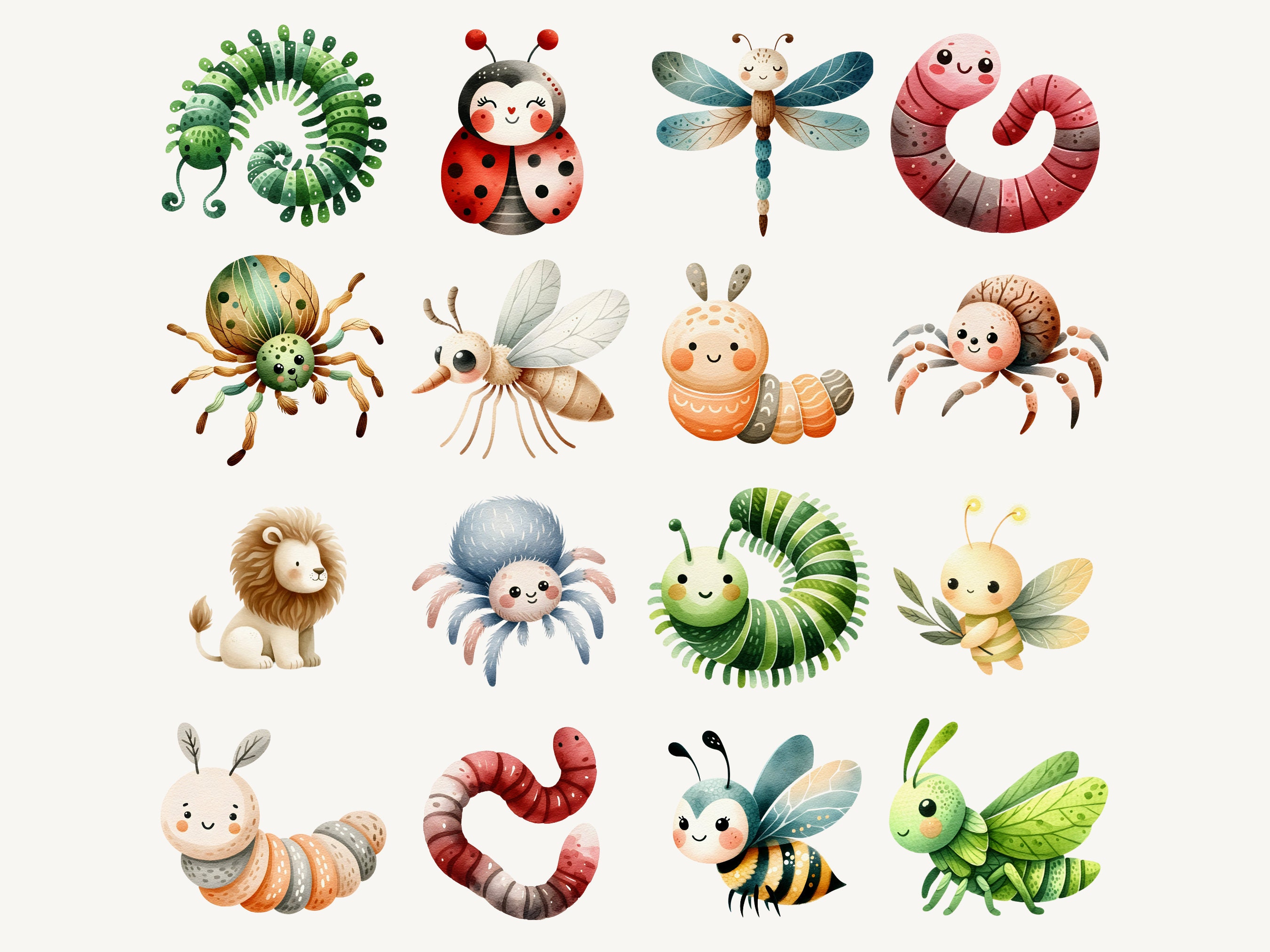 Spring Insects Bugs Watercolor Clipart Bundle Spider Butterfly ...