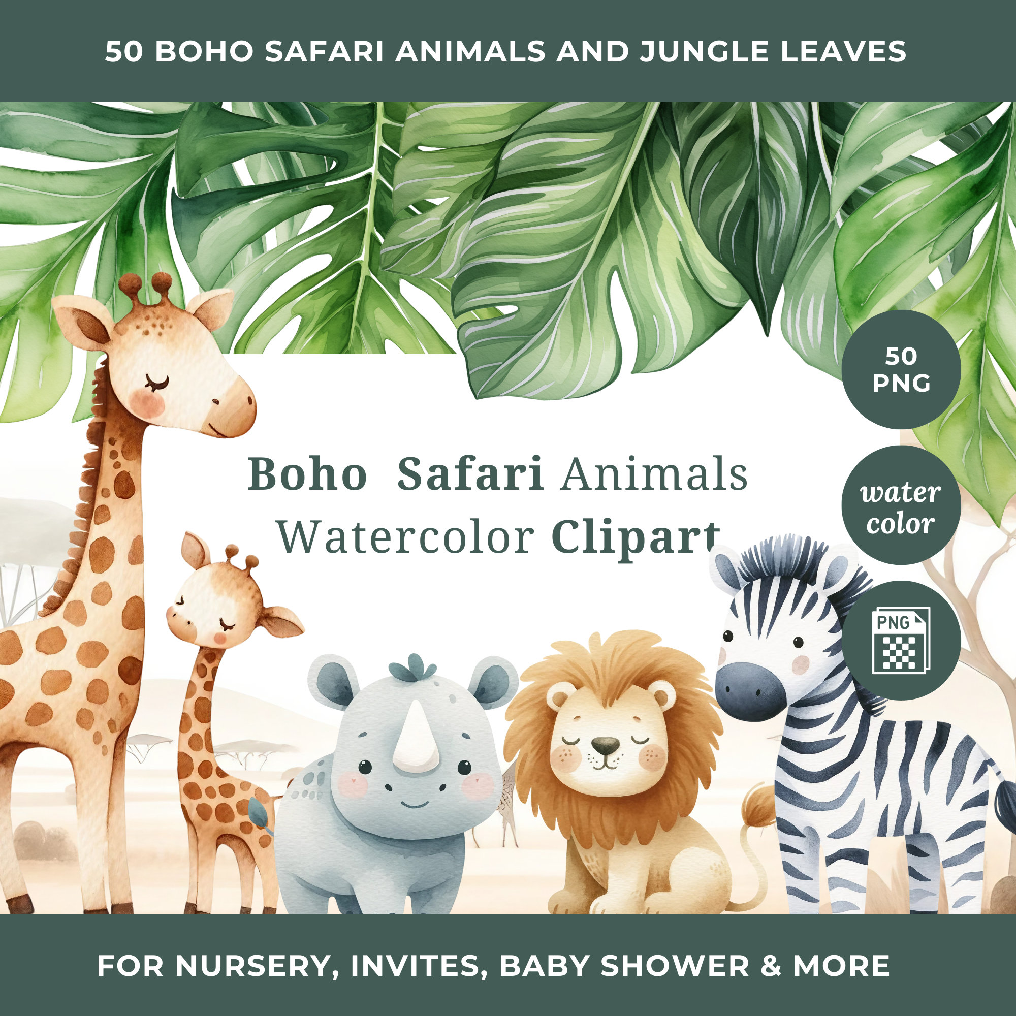 Cute Jungle Animals Clipart, Safari Baby Animal PNG, Watercolor Animal ...